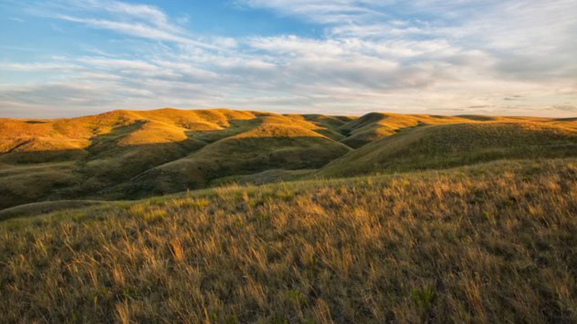 The 15 Best National Parks In Canada