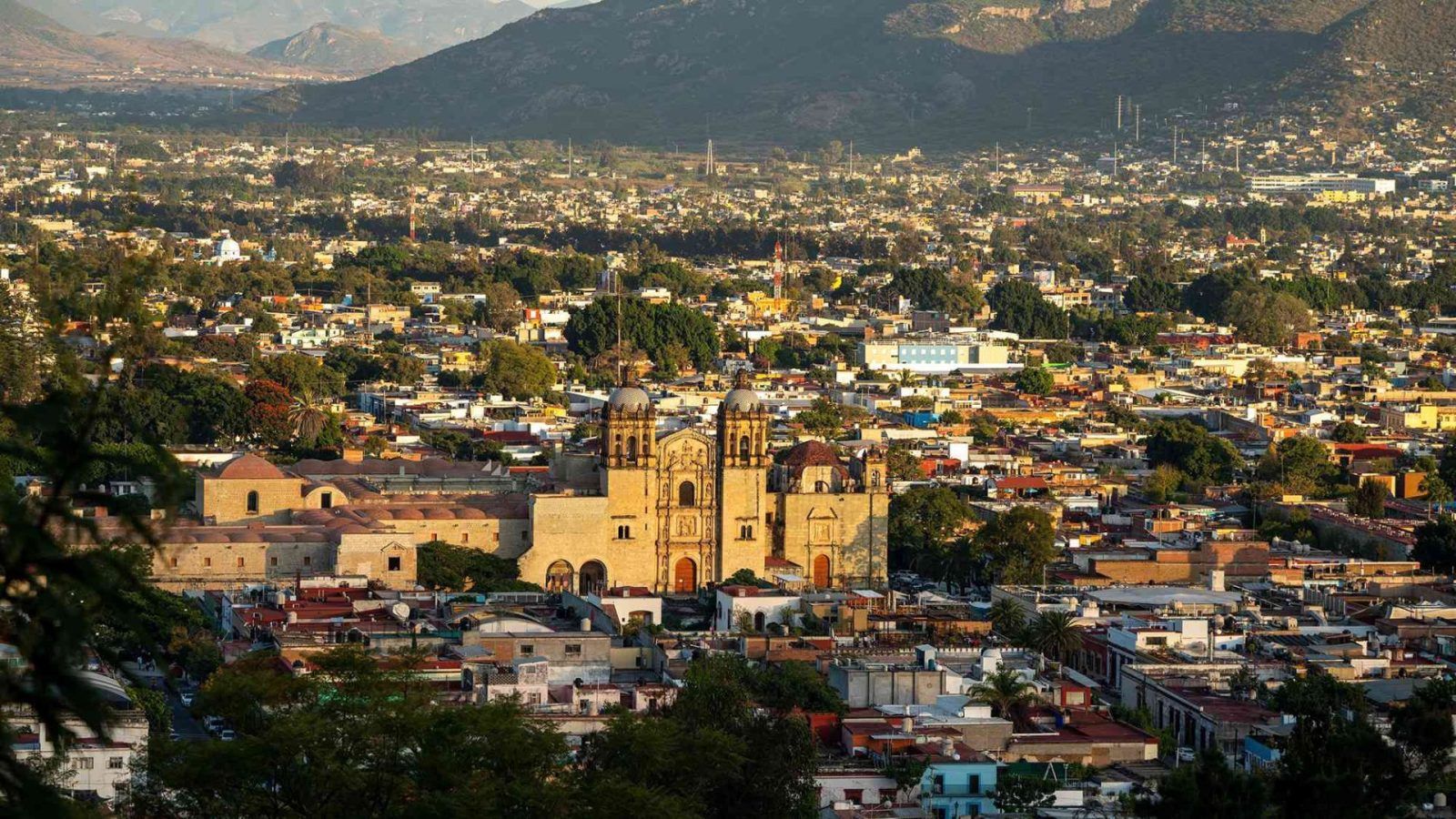 The Best Things To Do In Oaxaca