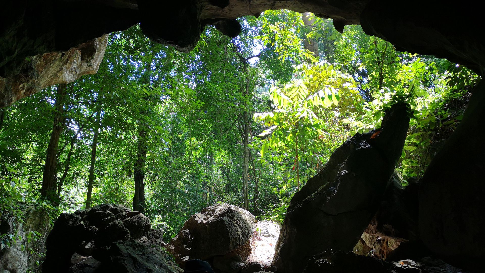 Beautiful Caves in Malaysia