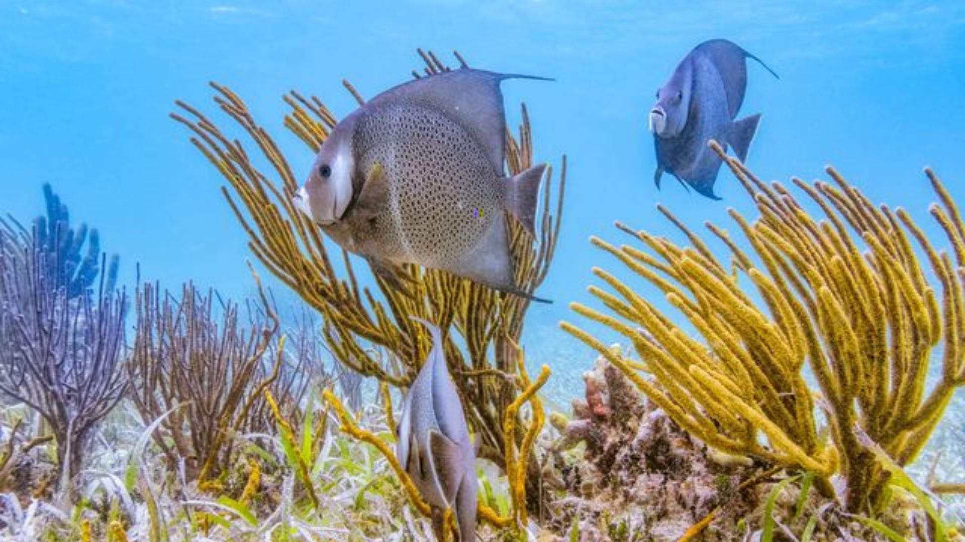 These Are The Best Things To Do In Belize