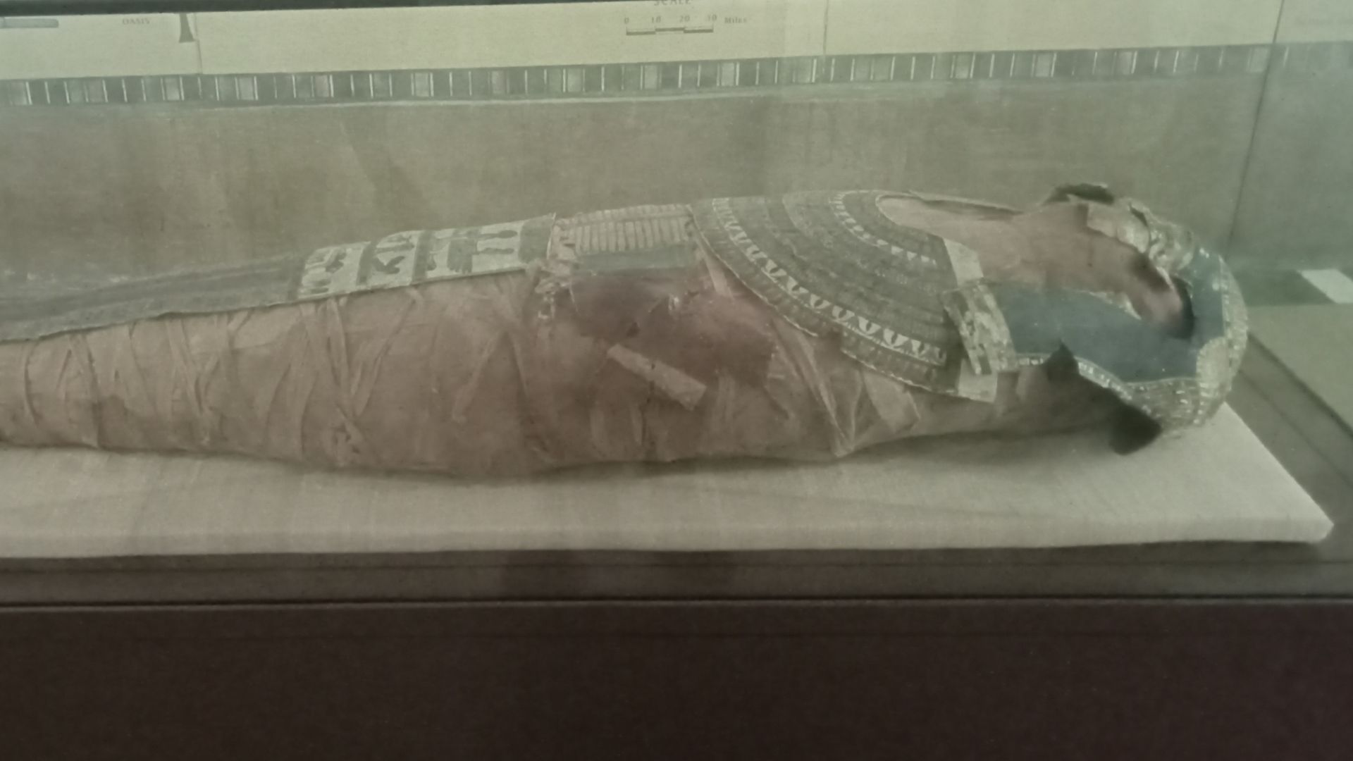 Places Where You Can See Mummies In India