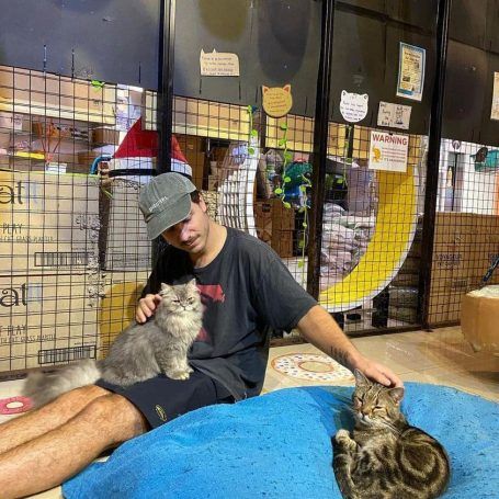 The Best Cat Cafes In KL For Good Food And The Cutest Cats Today