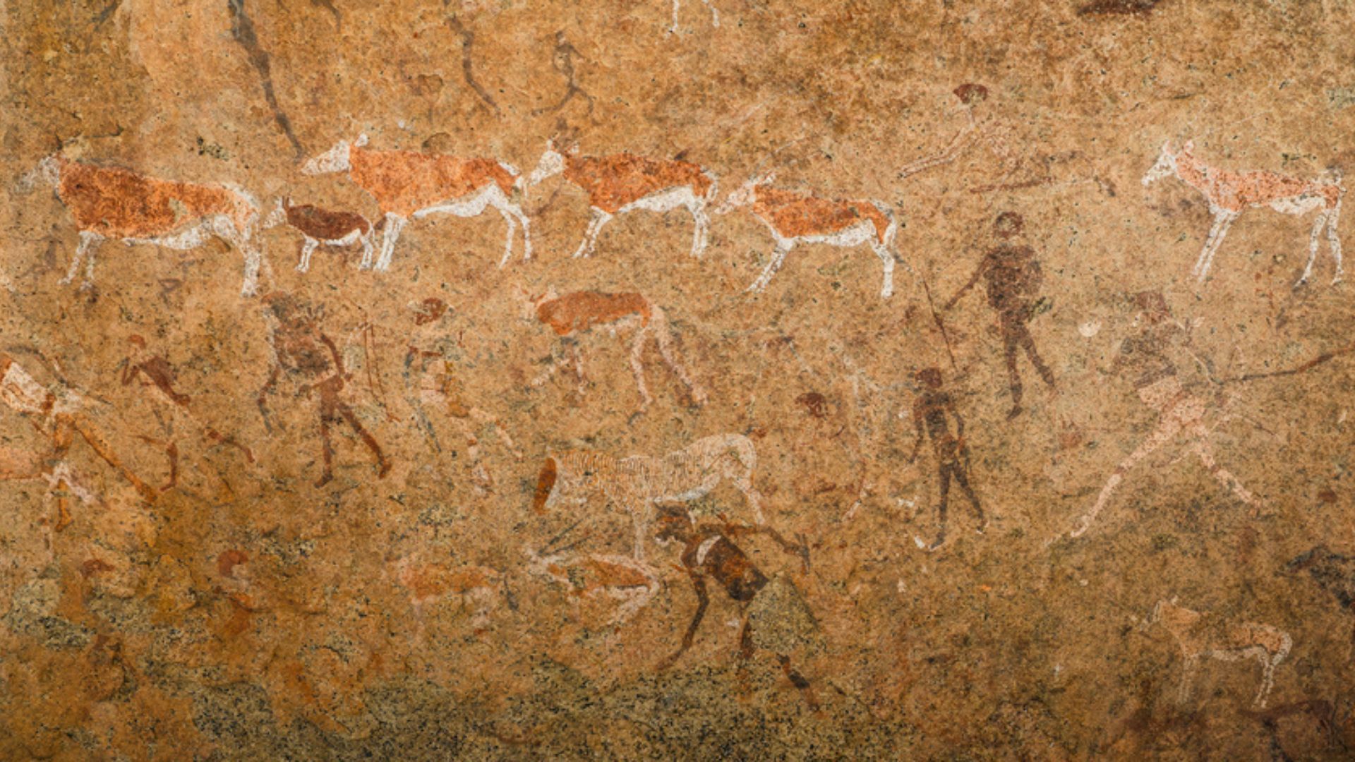 The Most Stunning Snapshots Of Namibia: Deserts, Culture And Beyond