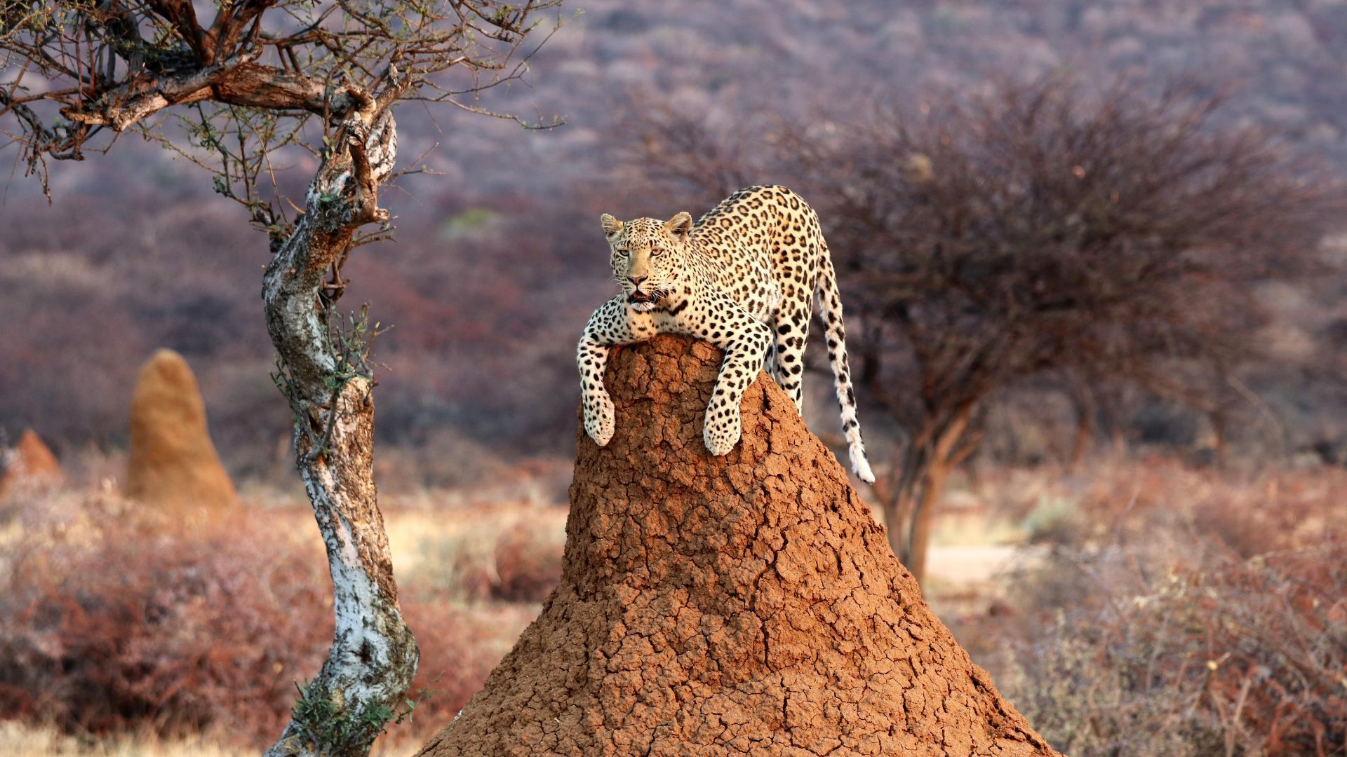 The Most Stunning Snapshots Of Namibia: Deserts, Culture And Beyond