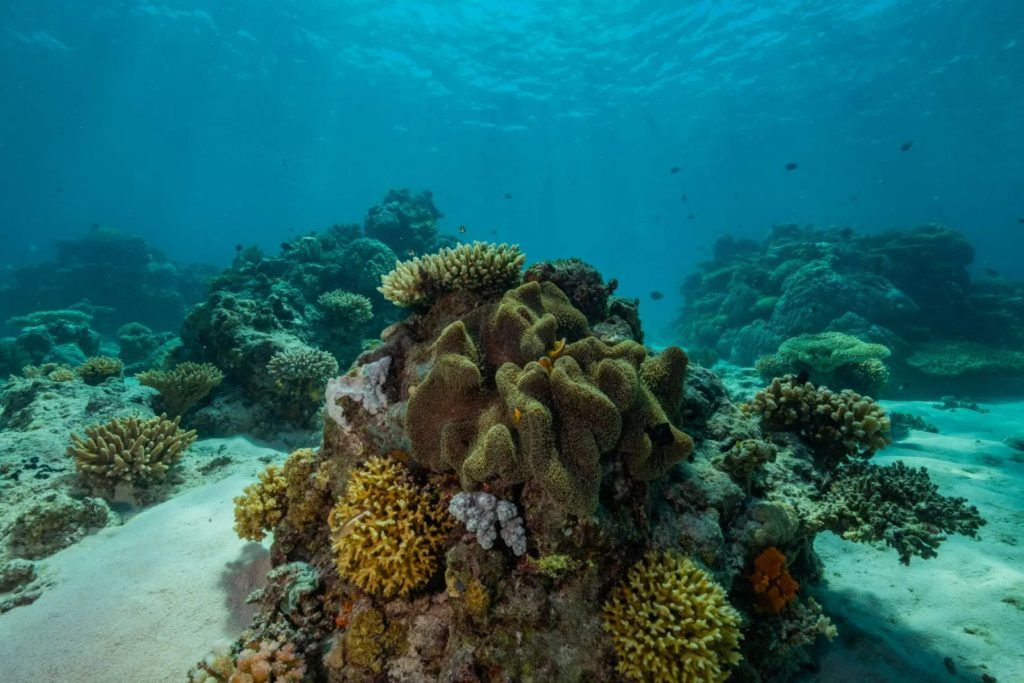 Discover the Unexplored Philippines’ Tropical Island Paradise of MIMAROPA