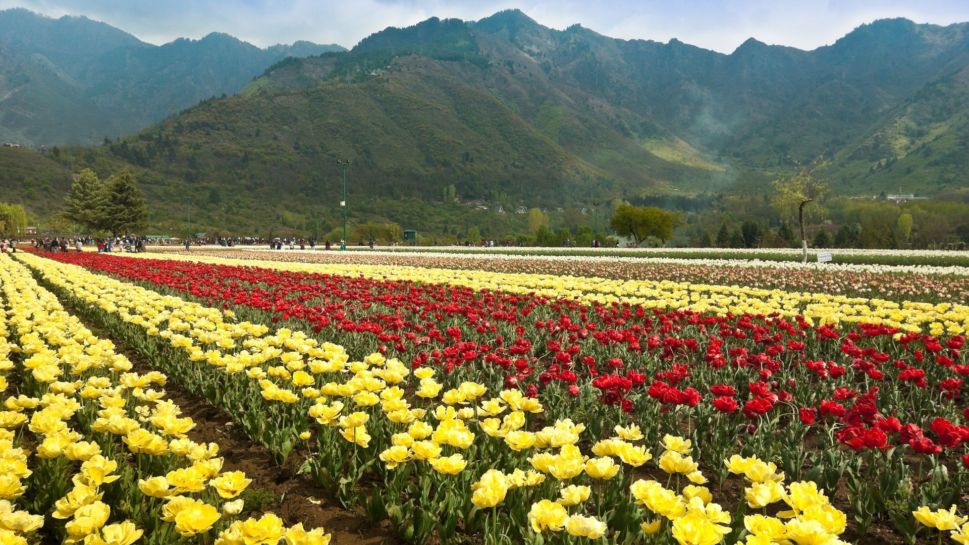 12 Best Places To Visit In India In The Year 2024: Trending Destinations!