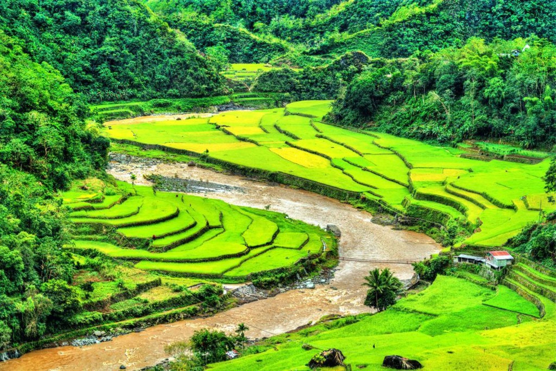These are the Top Destinations of the Philippines Most Loved By Couples ...
