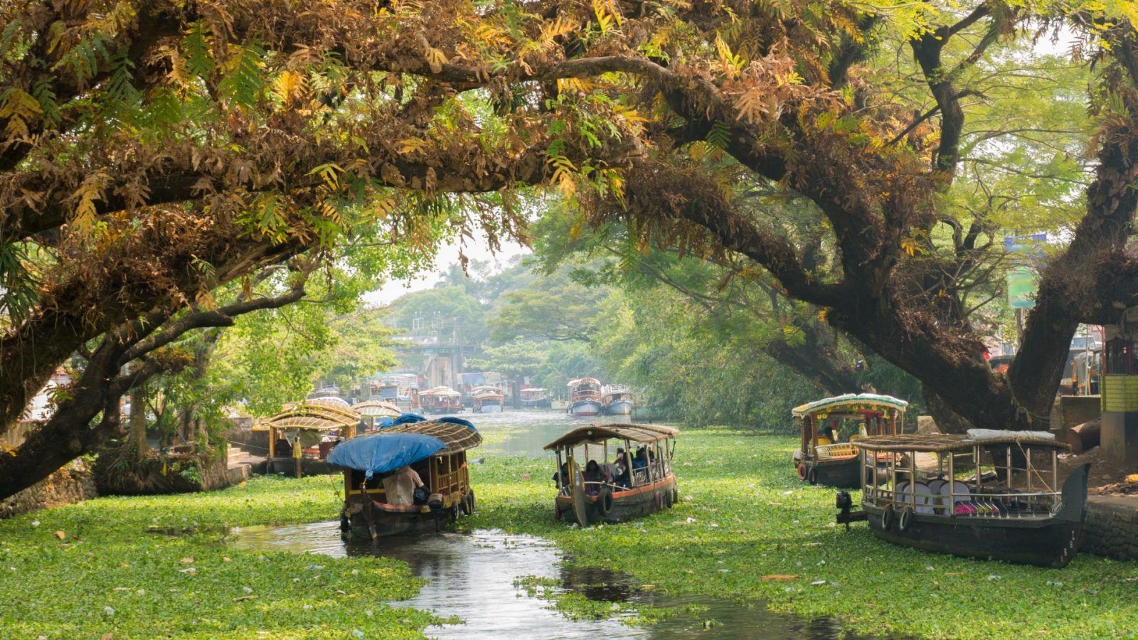 Most Beautiful Places In India (Scenic Natural & Cultural Heritage) 2024