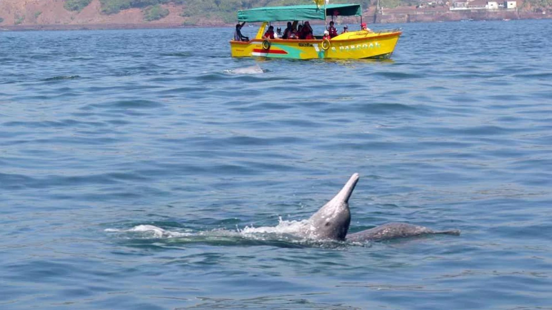 Beautiful Islands In India: A Visual Feast Of Breathtaking Seascapes