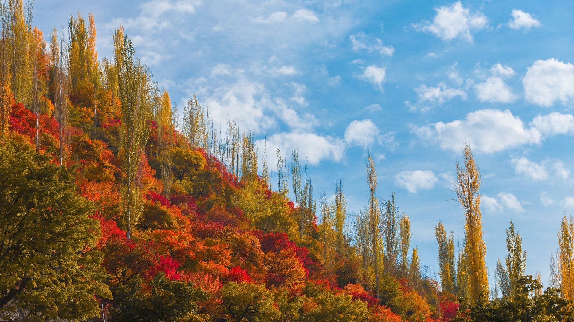 Hunza Valley: Exploring Pakistan’s Hidden Gem