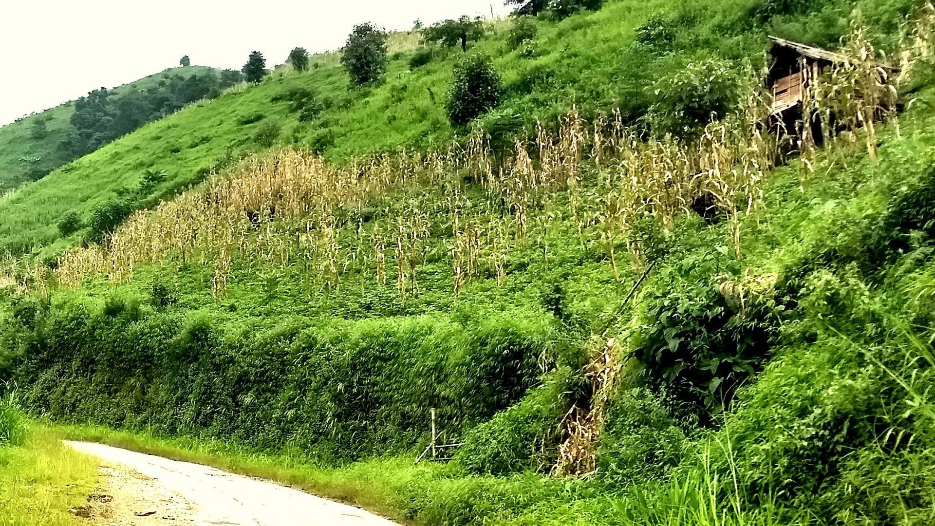 Beautiful Places In Nagaland 2024: A Guide To India's Gem In Northeast