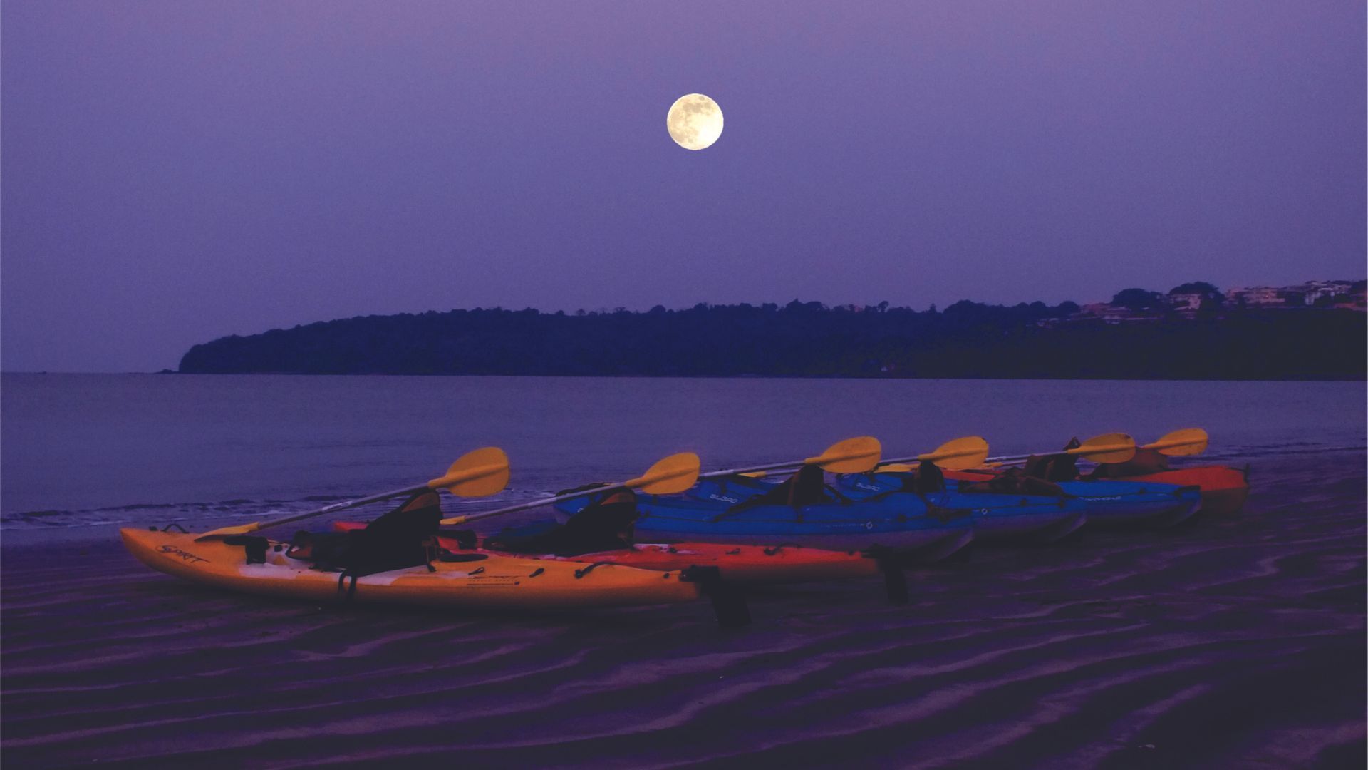 Kayaking In Goa: A Beginner's Guide To Goa Kayaking Tour & Activities 2024