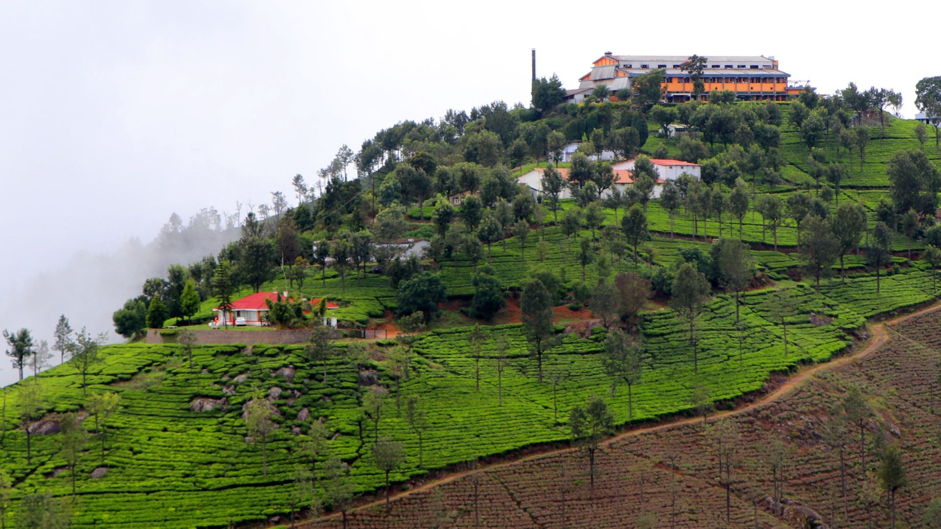 South India In Summer: Hill Stations, Beaches, Backwaters & Waterfalls 2024