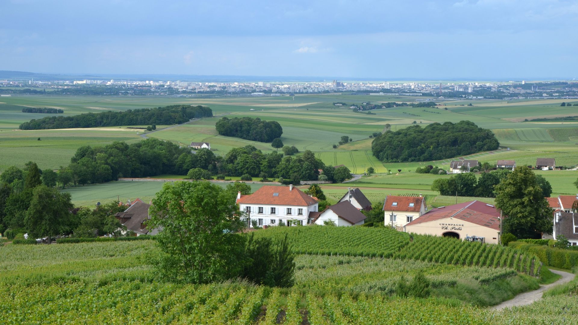 Vineyards In France: A Wine Vacation Through The Grape Outdoors