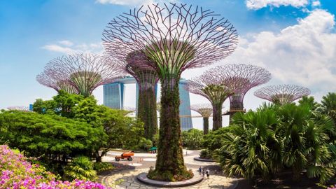 Gardens By The Bay: World's Most Photographed Garden On Instagram