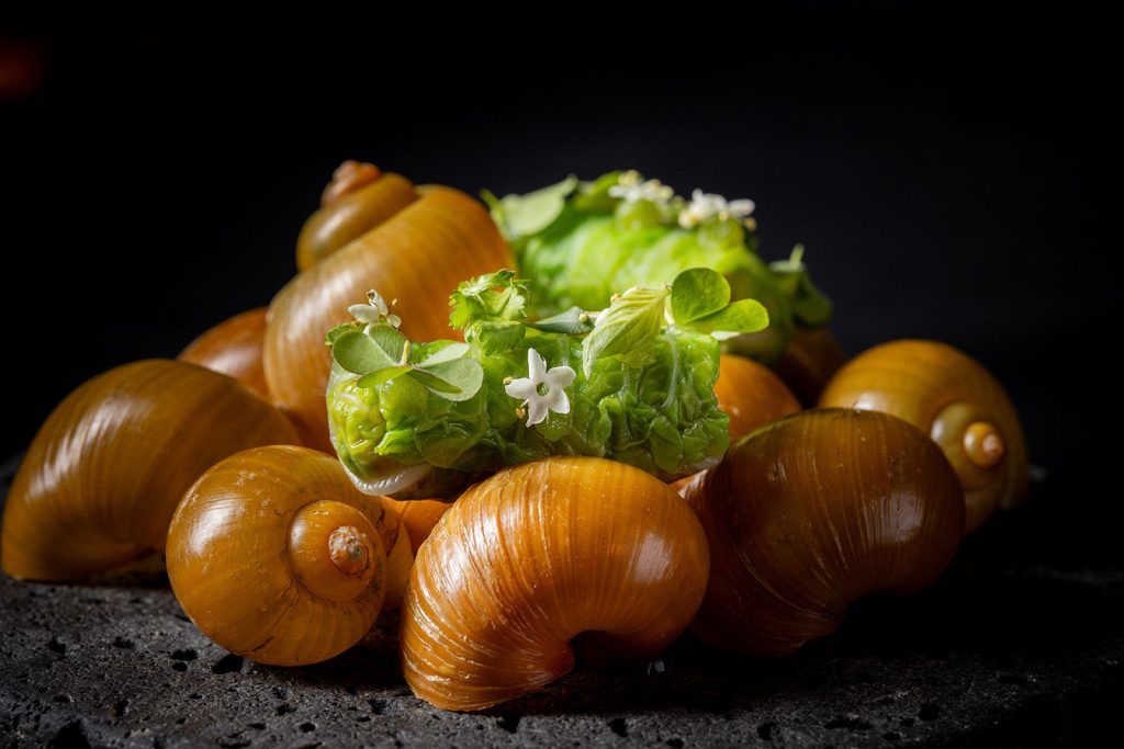 Eat, Drink and Breathe Sustainability and Indulgence at ...