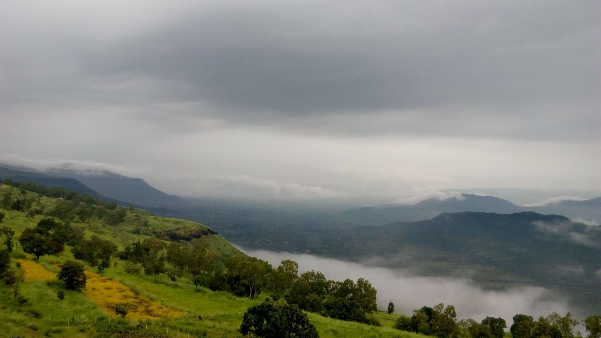 Kaas Plateau: Perfect Romantic Getaway At Maharashtra's Valley Of ...