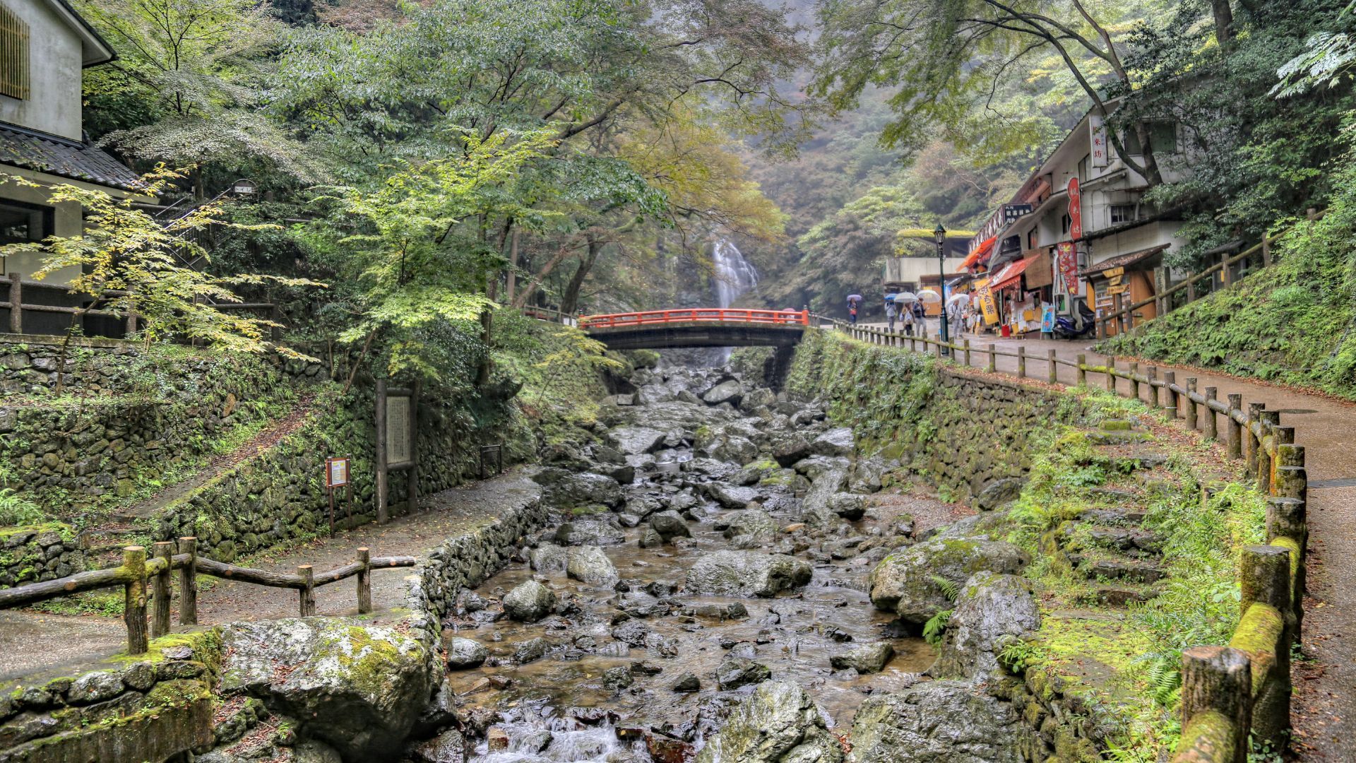 Discovering Japan’s Forests: From Bamboo Groves To The Magical Woods
