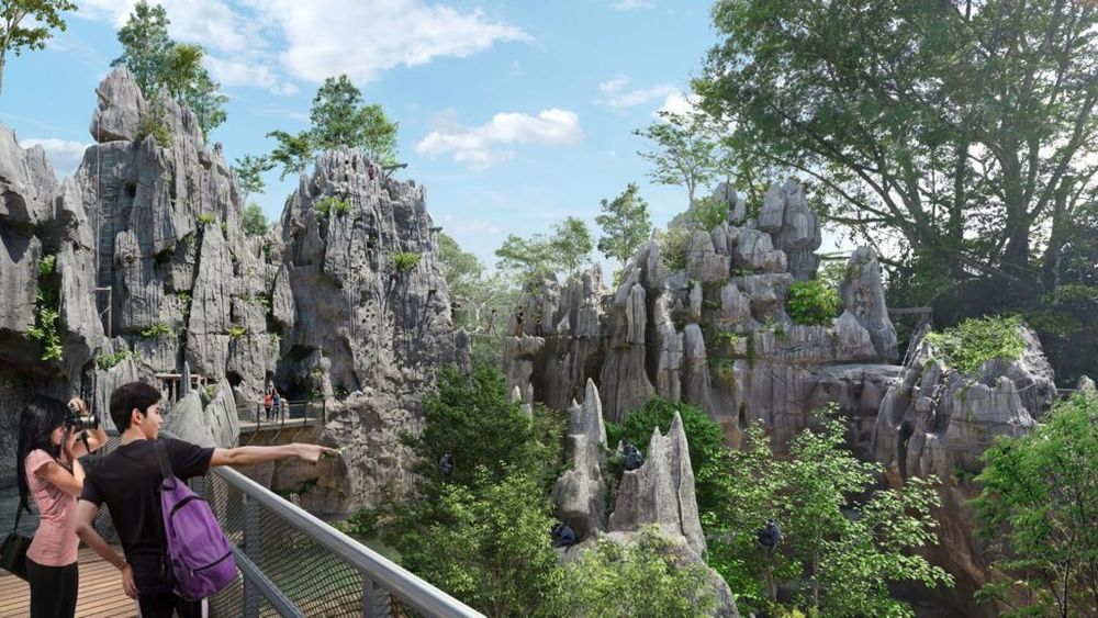 Rainforest Wild Asia: Singapore To Launch First Adventure Wildlife Park