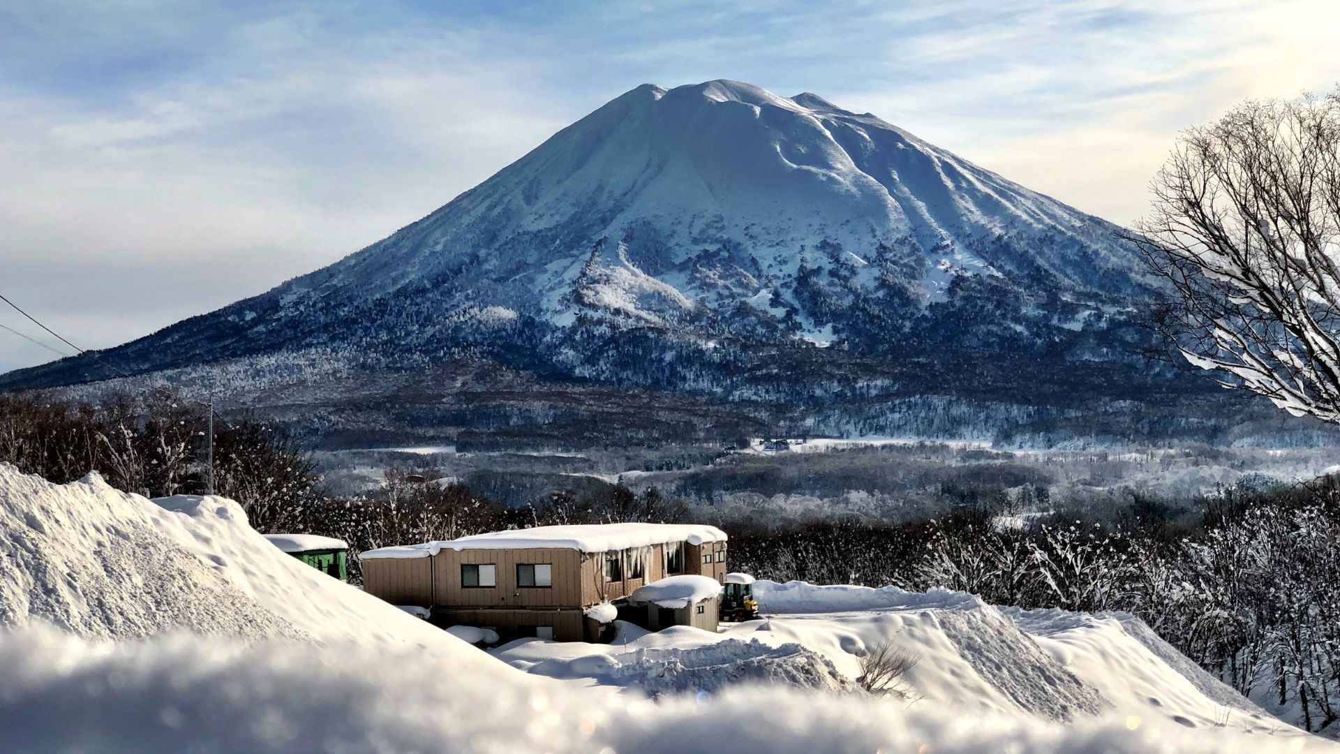 Best Time to Visit Japan: A Seasonal Guide