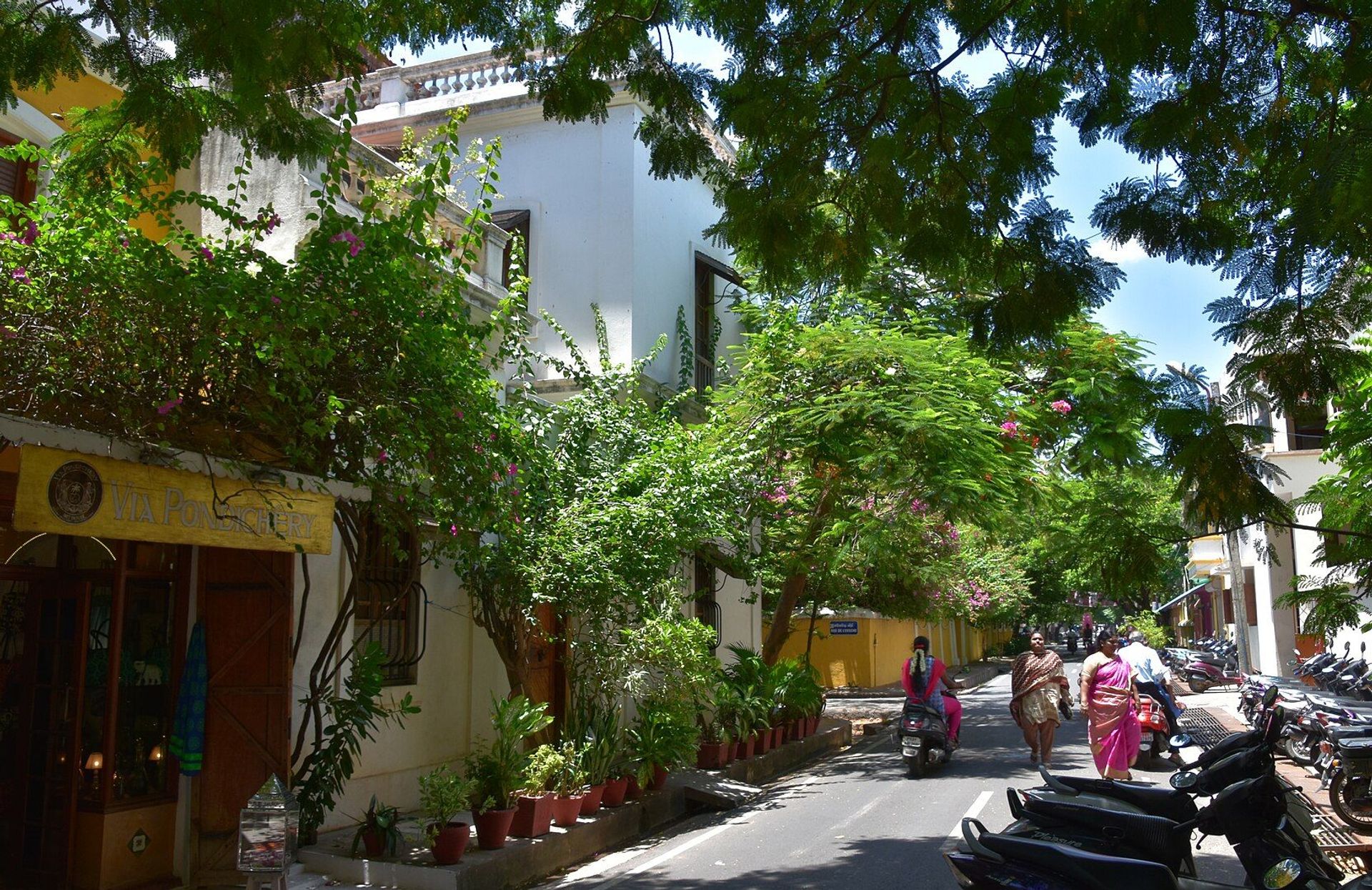 Things To Do In White Town, The Beautiful French Colony Of Pondicherry