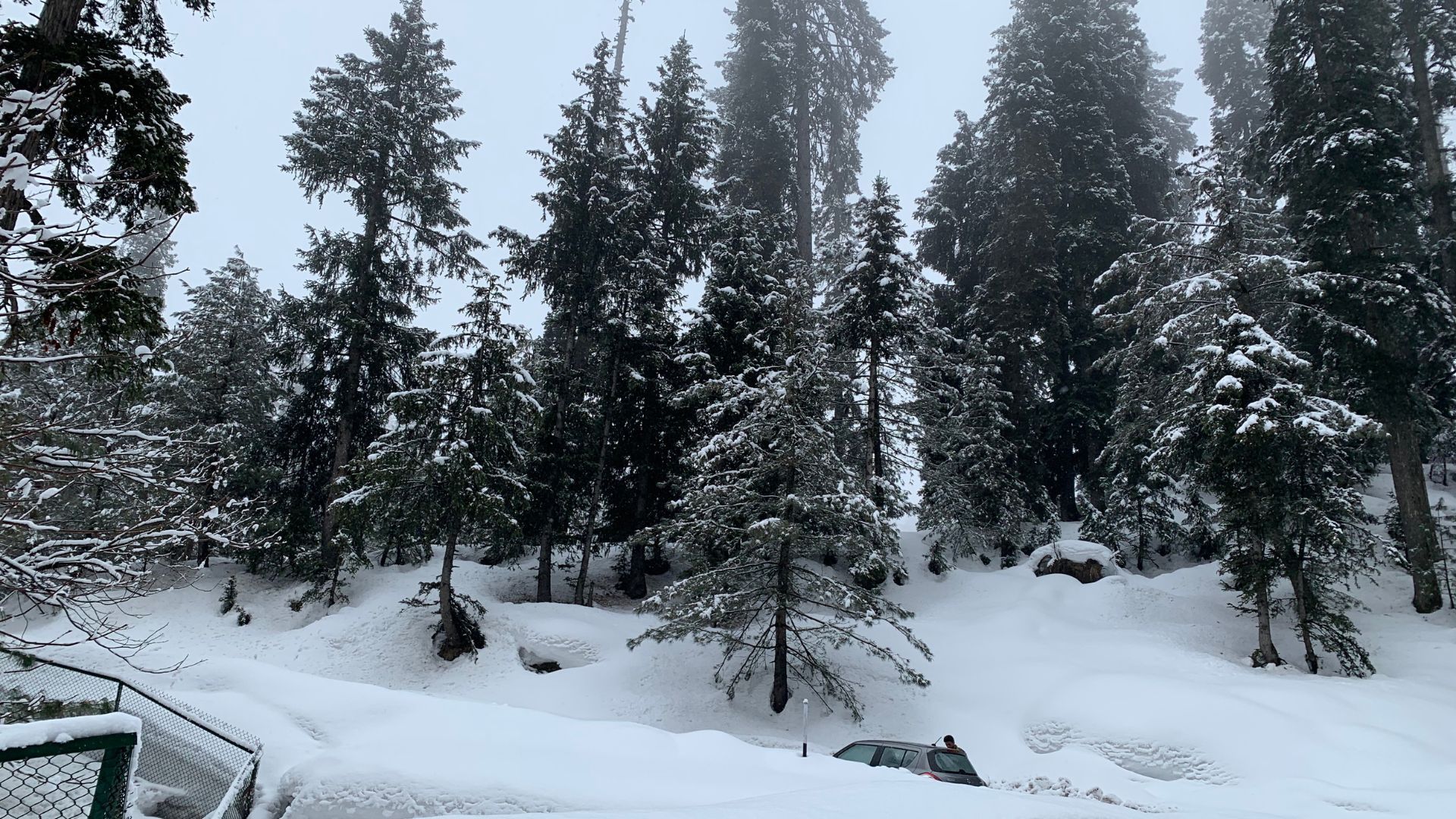 Places Experiencing Snowfall In India Right Now: Love At Frost Sight! 2024