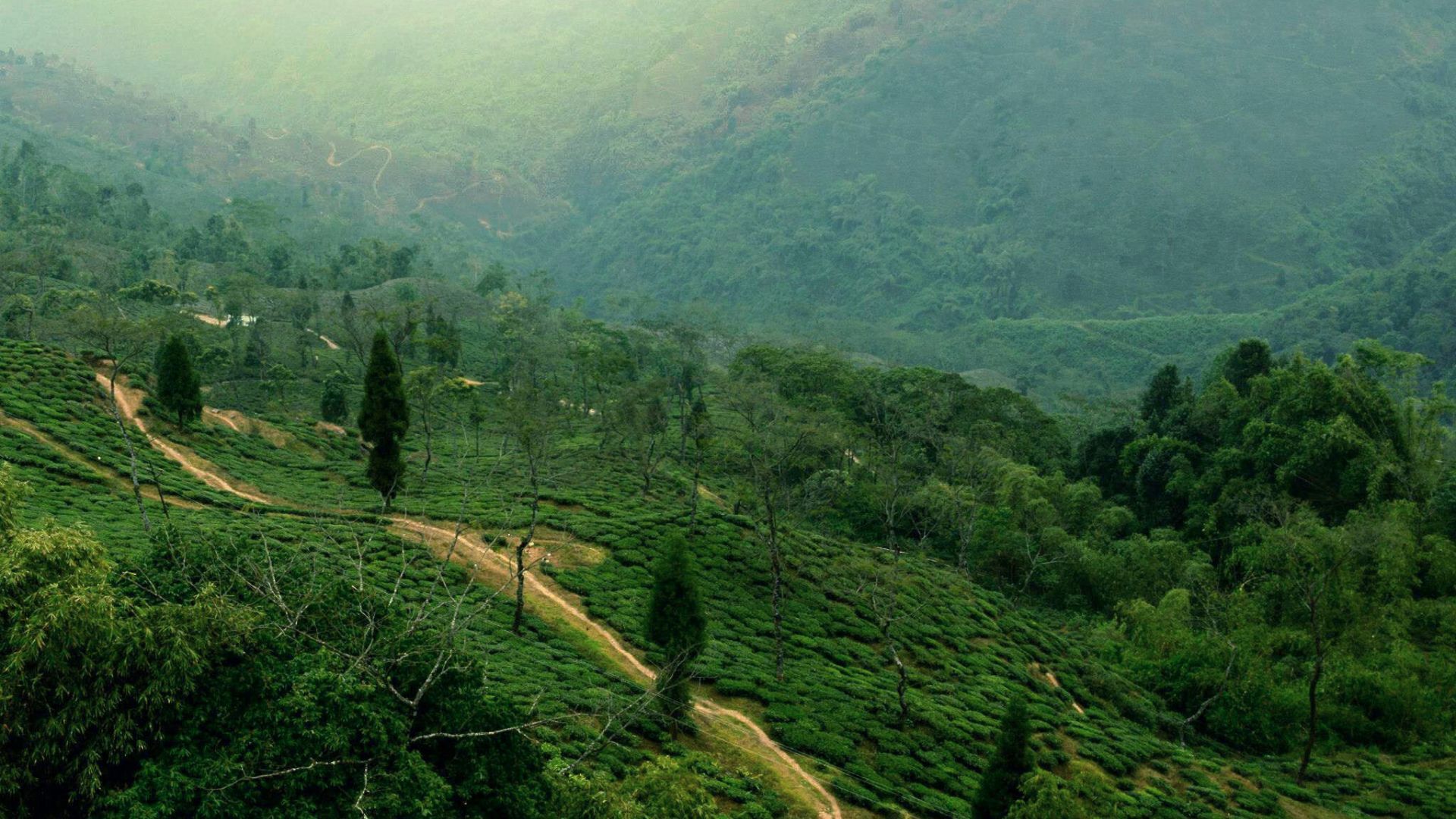Heritage Trains: Explore The UNESCO-listed Mountain Railways Of India
