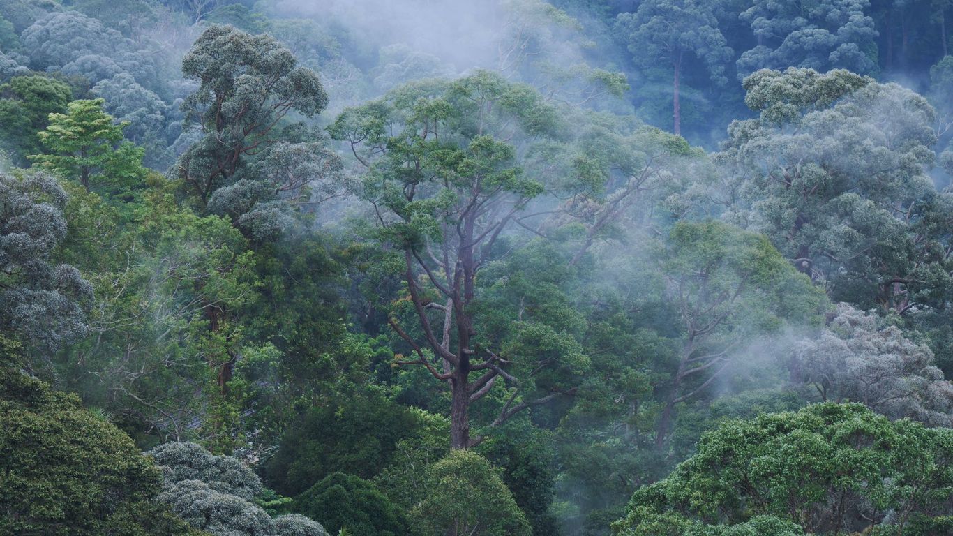 Penang Tourist Places: Must-Visit Spots On Malaysia's Tropical Island