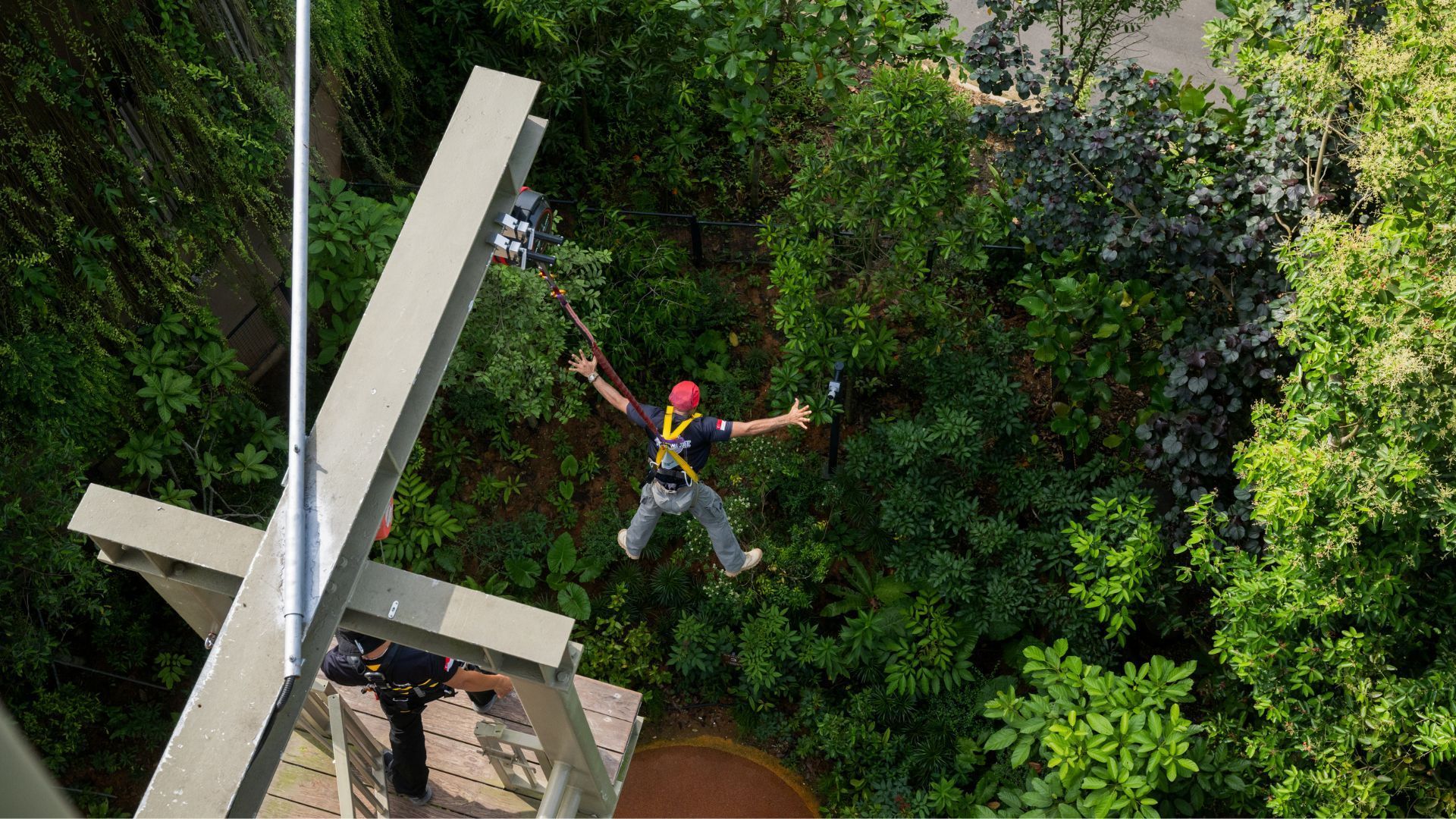 This New Adventure Zoo Lets You Walk (and Climb) with the Animals