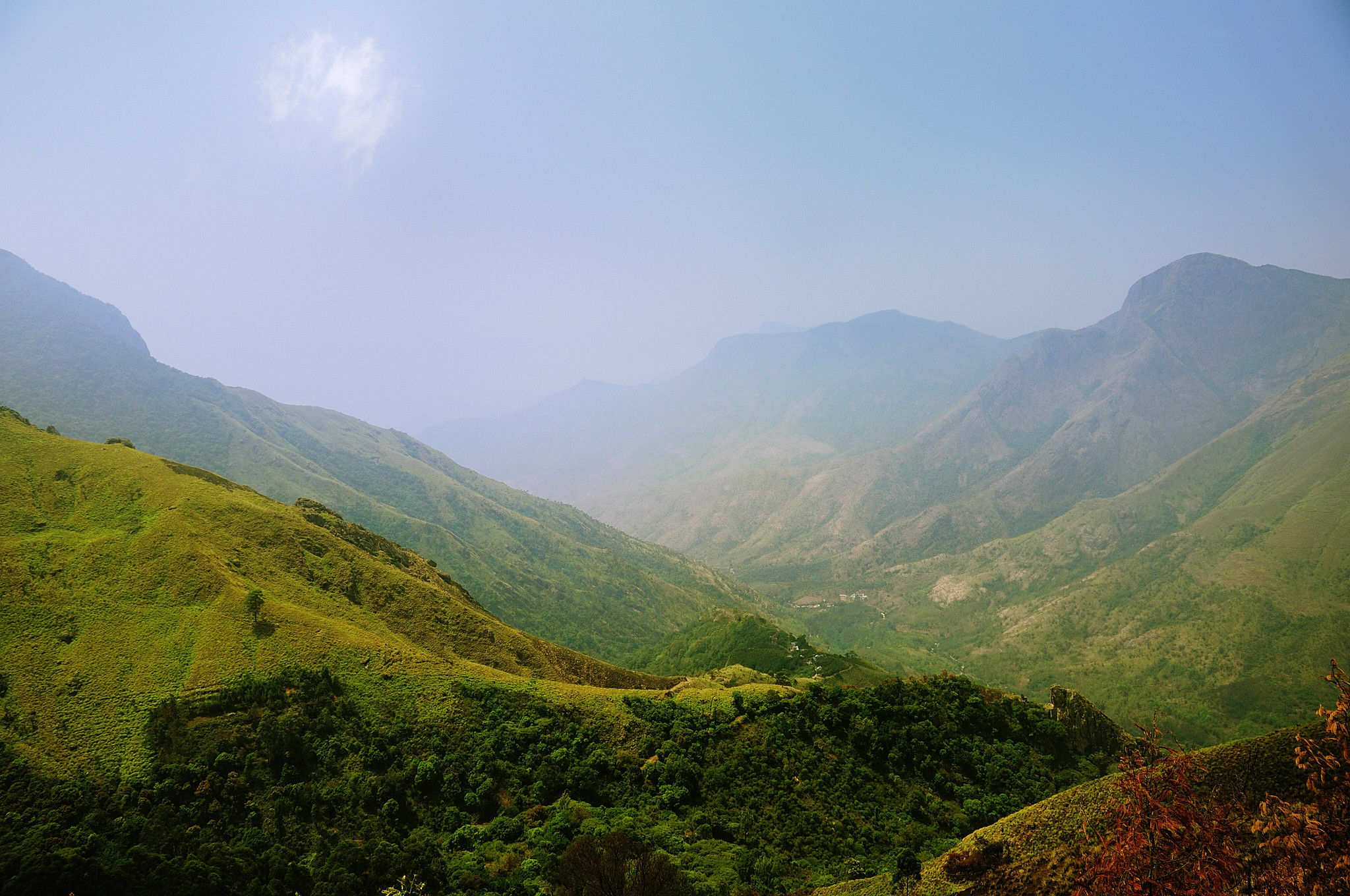Tourist Places In Munnar: Tea Trails To Mountain Tales And So Much More