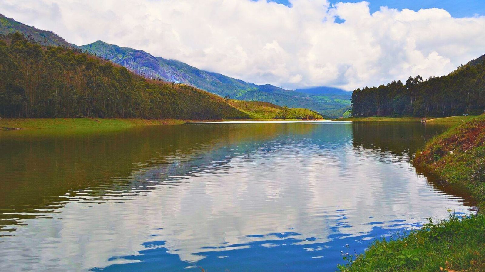 Tourist Places In Munnar: Tea Trails To Mountain Tales And So Much More