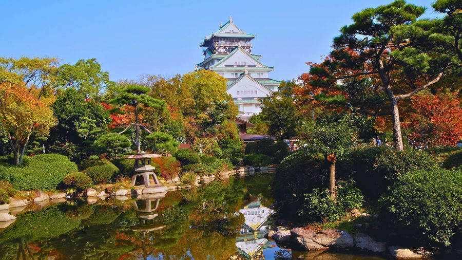 Things To Do In Osaka: Unmissable Experiences And Best Local Secrets
