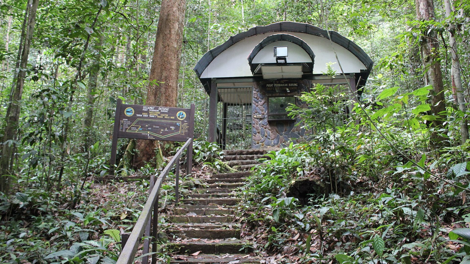 Things To Do In Tawau: Explore Its History, Natural Beauty And Local Food