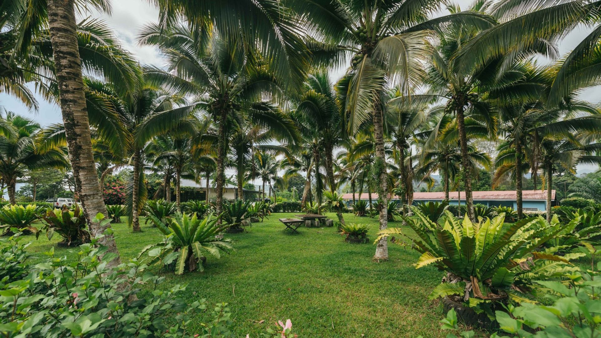 Things To Do In Tawau: Explore Its History, Natural Beauty And Local Food