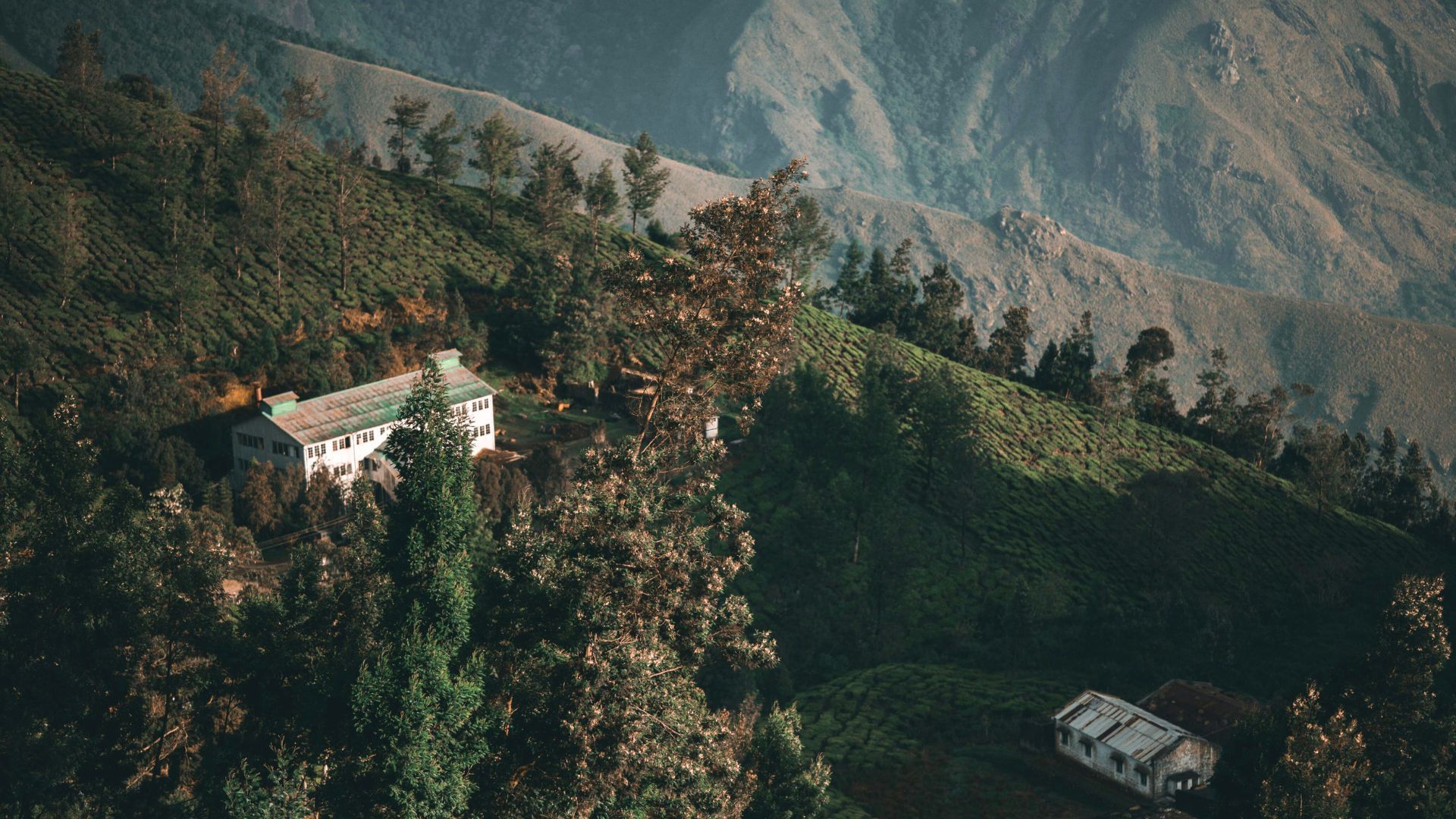 Best Time To Visit Munnar For A Quiet Escape Amidst Stunning Views