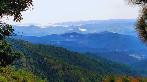 Why Binsar Is Your Perfect Mountain Escape In Uttarakhand