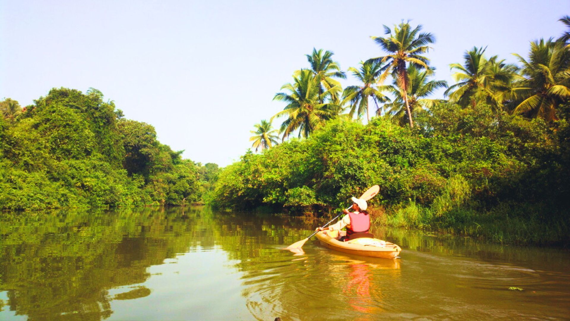 Cruise, Kayak & Music: Unique Goa Tours For An Offbeat Experience