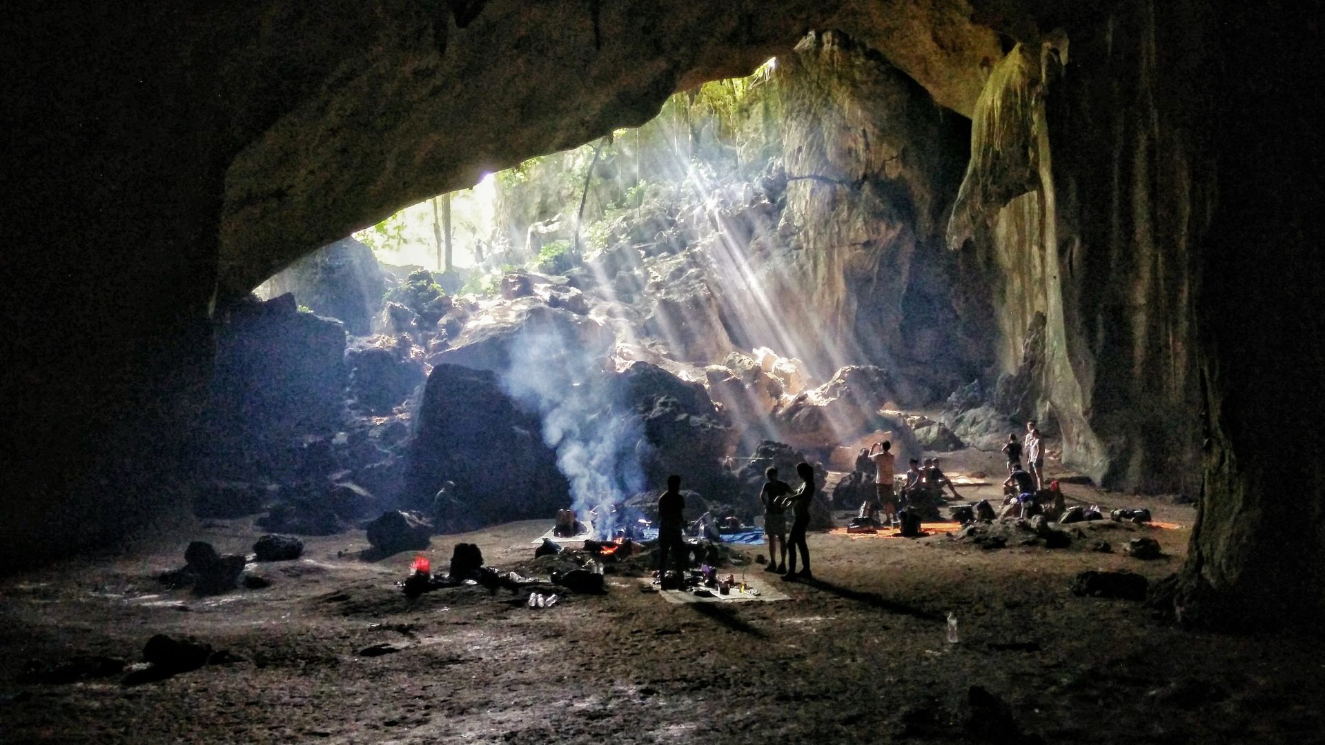 Taman Negara National Park: Explore One Of Earth’s Oldest Rainforests