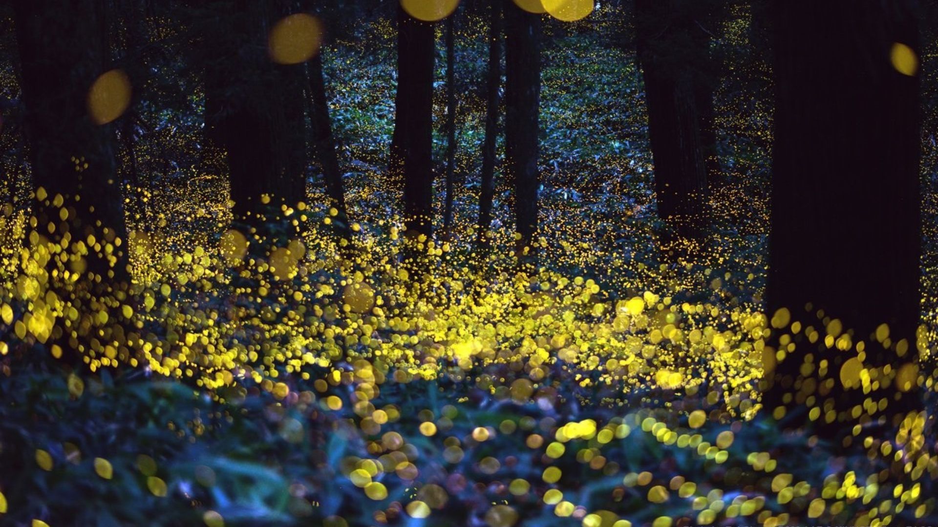 Sky Mirror in Kuala Selangor: A Haven For Photography Enthusiasts