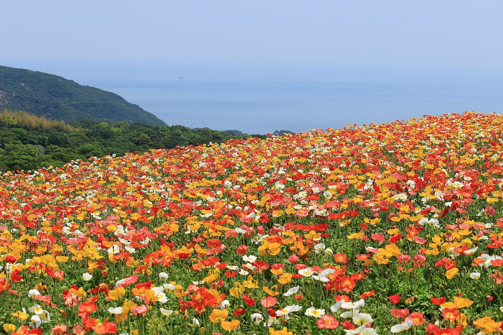 Awaji: Why Japan's 'Onion Island' Needs To Be On Your Travel Bucket List