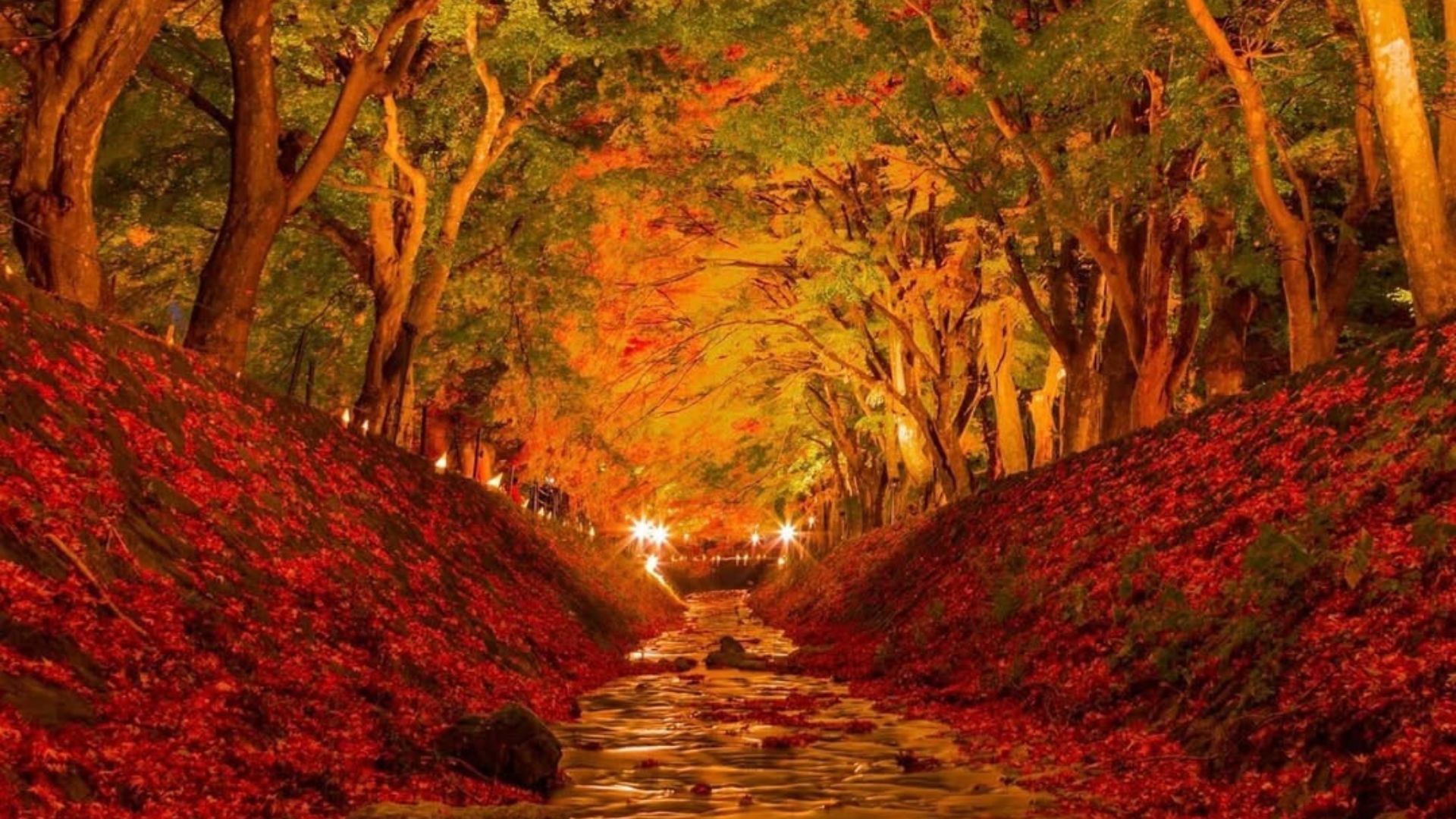 Attractions In Aomori, The Land Of Apples, Festivals And Fresh Seafood