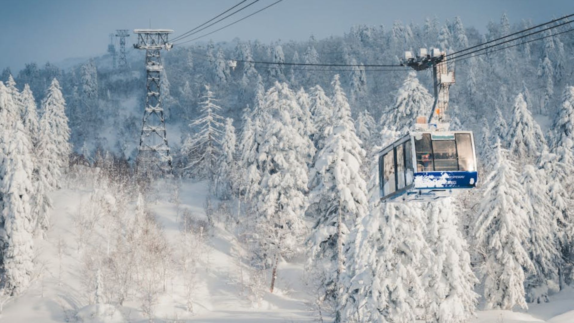 Snowfall Destinations Near Singapore: The Ultimate Holiday Season Guide