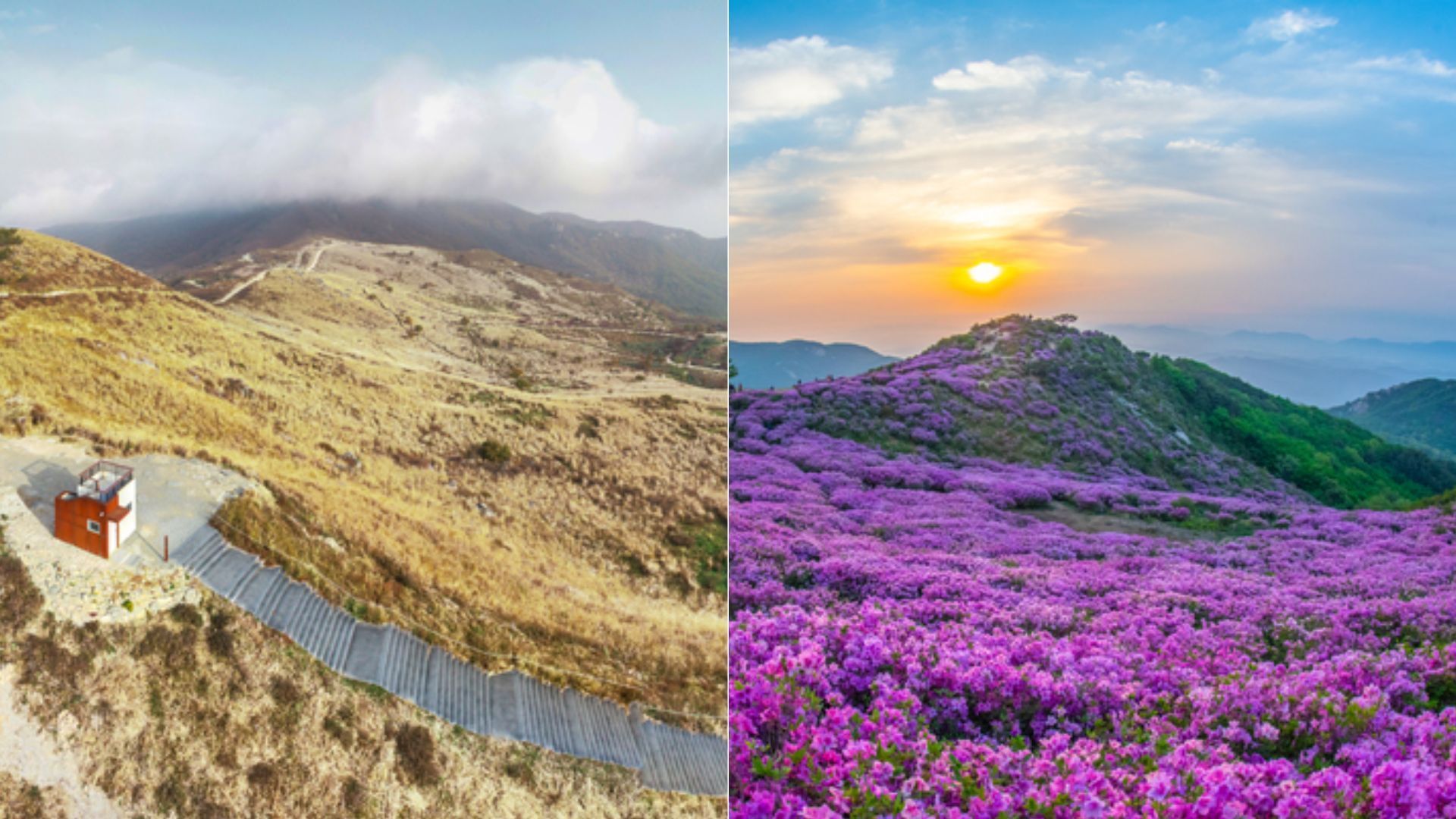‘Would You Marry Me?’: Visit The Filming Locations Across South Korea