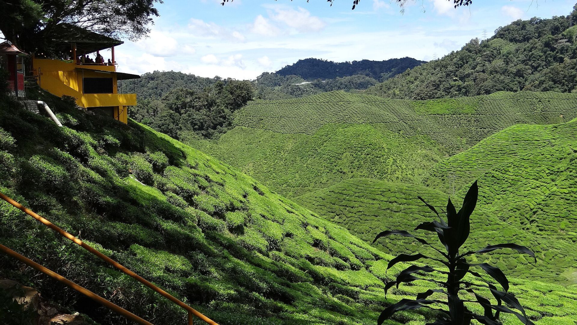 Long Weekends In Malaysia: How To Maximise Your Leave In 2026