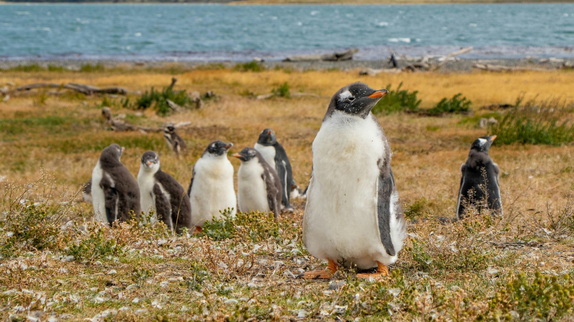 Best Places To Visit In The World: 15 Top Destinations To Consider In 2026